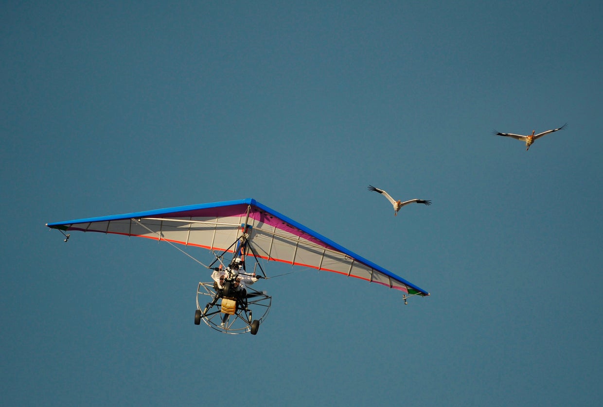 President, animal lover, professional wild man: Russia's Vladimir Putin ...