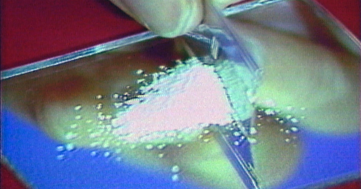 1985: CBS News discovers ecstasy for the first time - CBS News