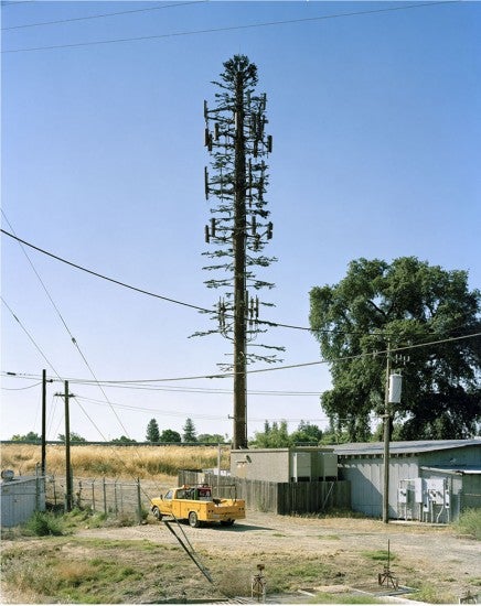 Photographer Robert Voit's "New Trees" are really cell phone towers