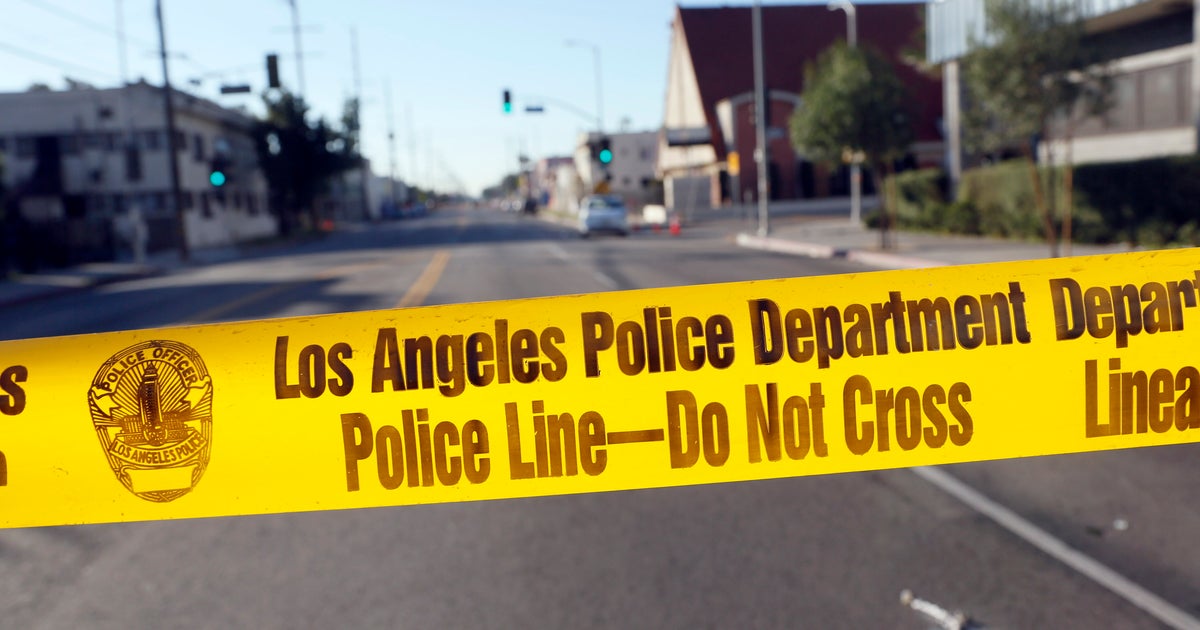 LAPD officer enters plea in October brutality case - CBS News