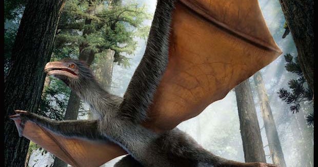 Dinosaur fossil with bat wings is first of its kind - CBS News