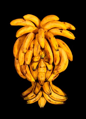 True still lifes: Masterworks of bodypainting