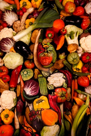 True still lifes: Masterworks of bodypainting