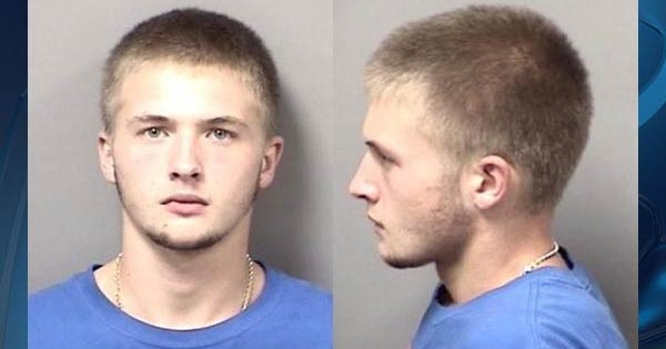 Bryan Robinson, Florida teen in murder case, now charged in separate ...