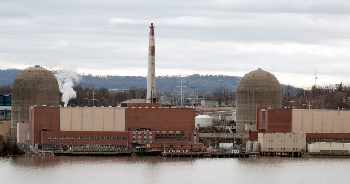 Bird poop apparently caused New York nuclear reactor outage - CBS News