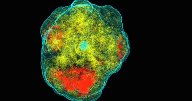 Watch what happens when a massive star explodes - CBS News
