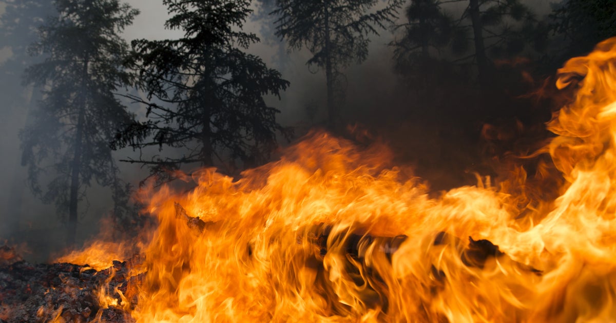 Wildfires burning through several Western states, causing evacuations ...