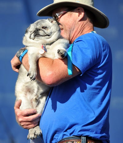 World's Ugliest Dog Contest 2015