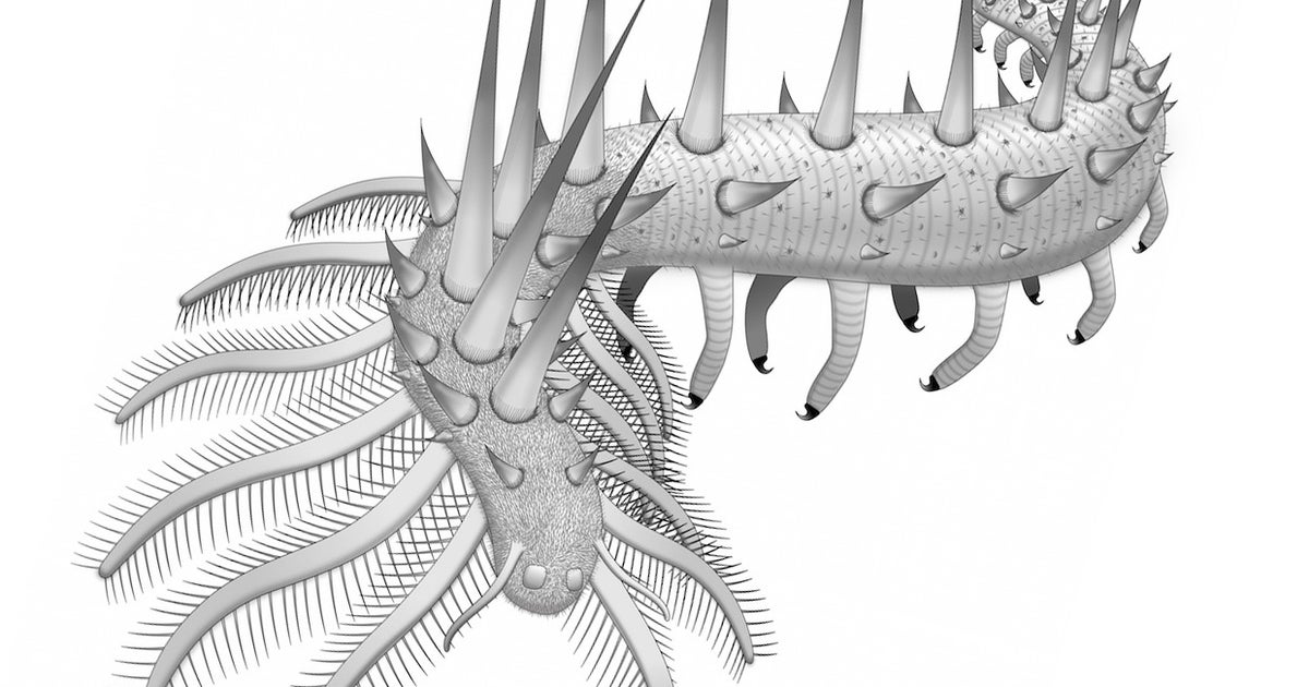 Spiky armored worm had 30 legs, will haunt your dreams - CBS News