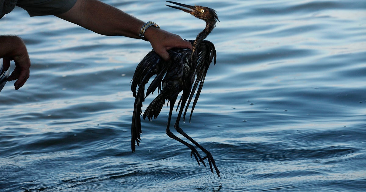 Feds charge 7 with $2 billion fraud tied to Deepwater Horizon spill ...