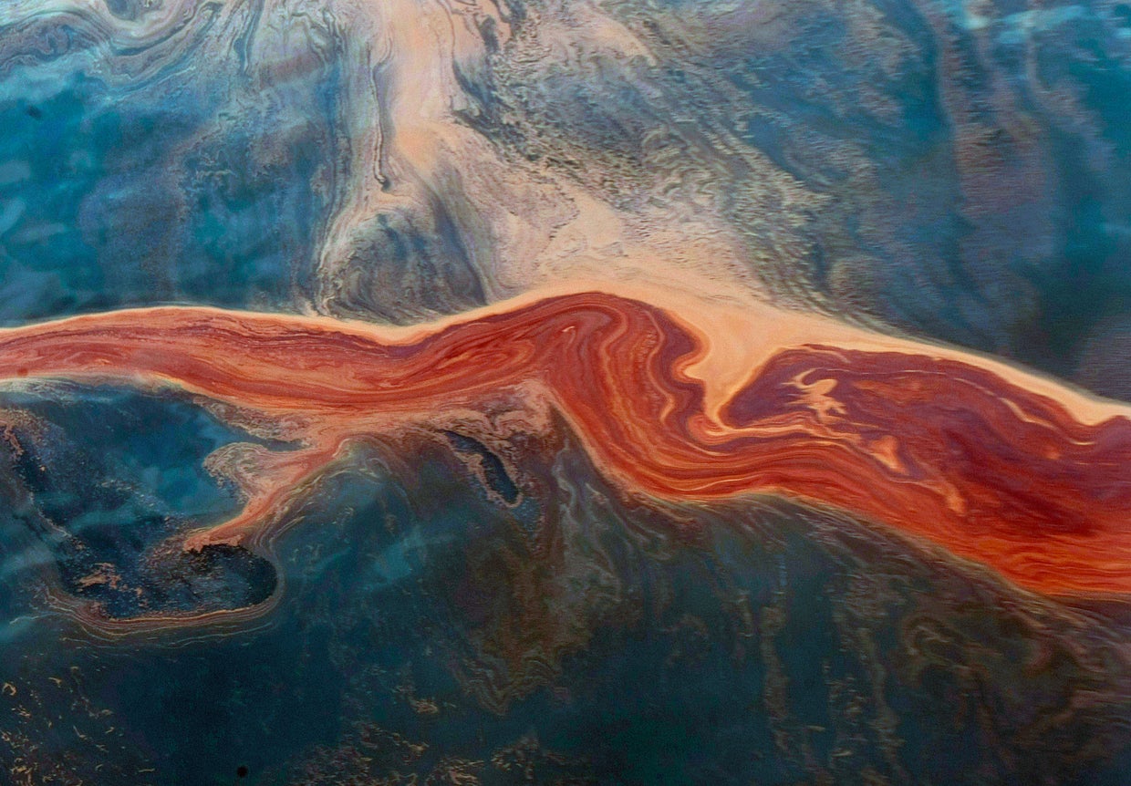 Oil Spill: 100 Days, 100 Photos