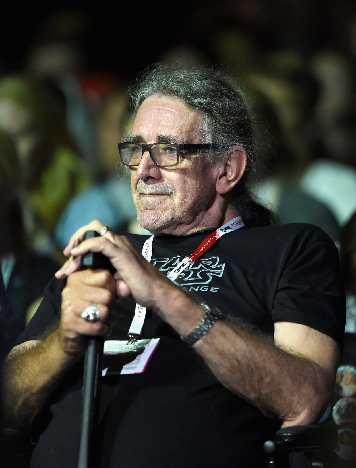Stars at Comic-Con 2015