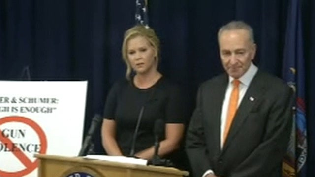 Sen. Chuck Schumer and comedian Amy Schumer team up on gun control ...