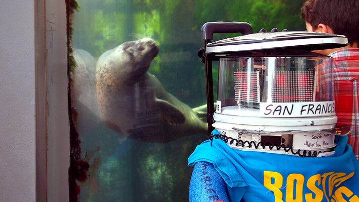 Life and times of the hitchhiking robot before his untimely demise