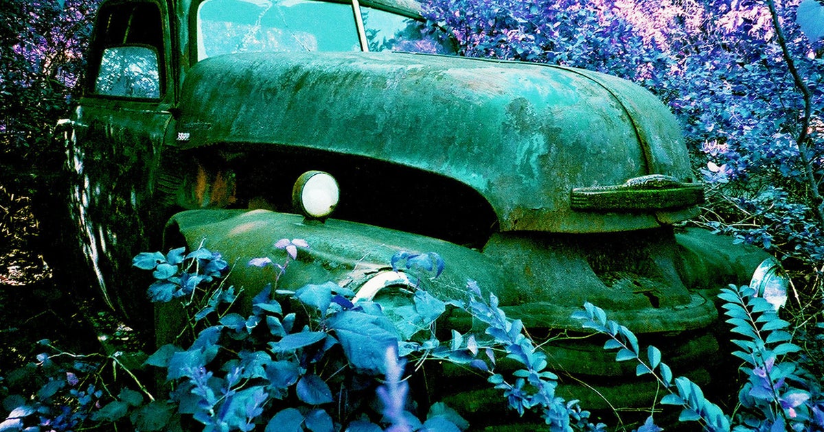 A museum of junked cars