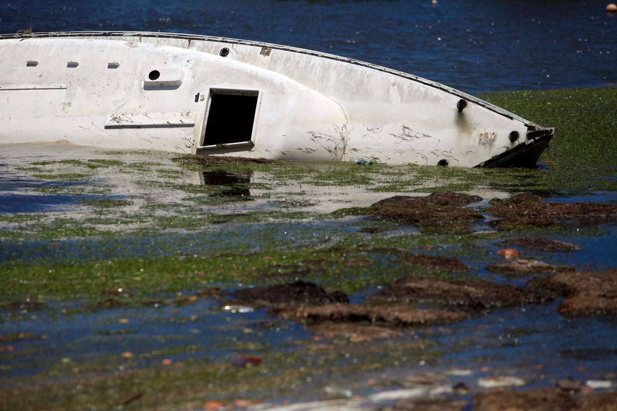 Mats of decaying seaweed piling up on Caribbean beaches - CBS News