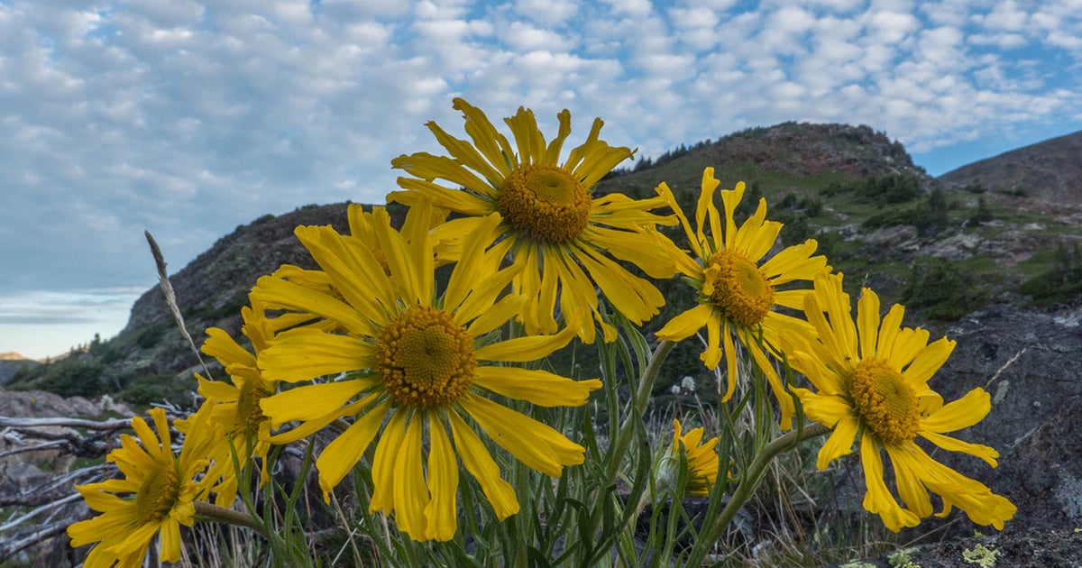 John Fielder's Colorado