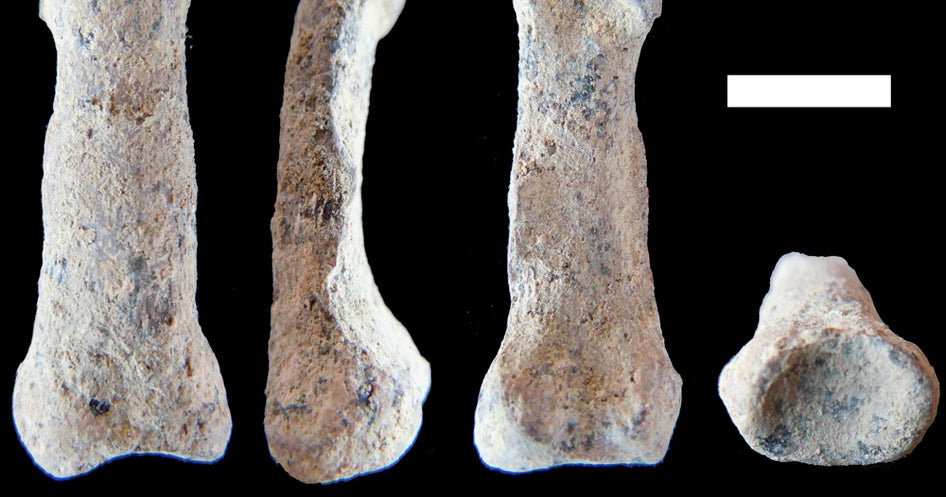 Earliest human hand bone unearthed in Africa - CBS News