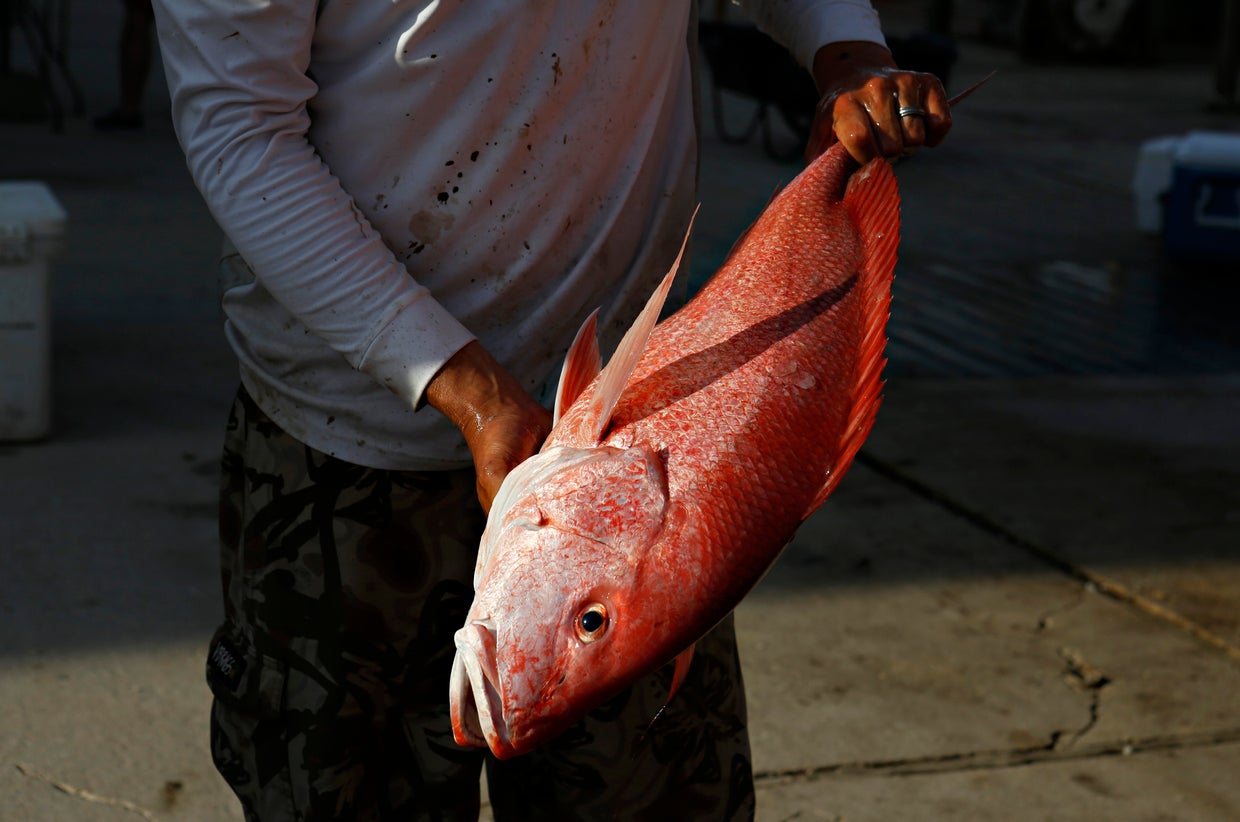 Ten years after Hurricane Katrina devastated southern Louisiana - signs ...