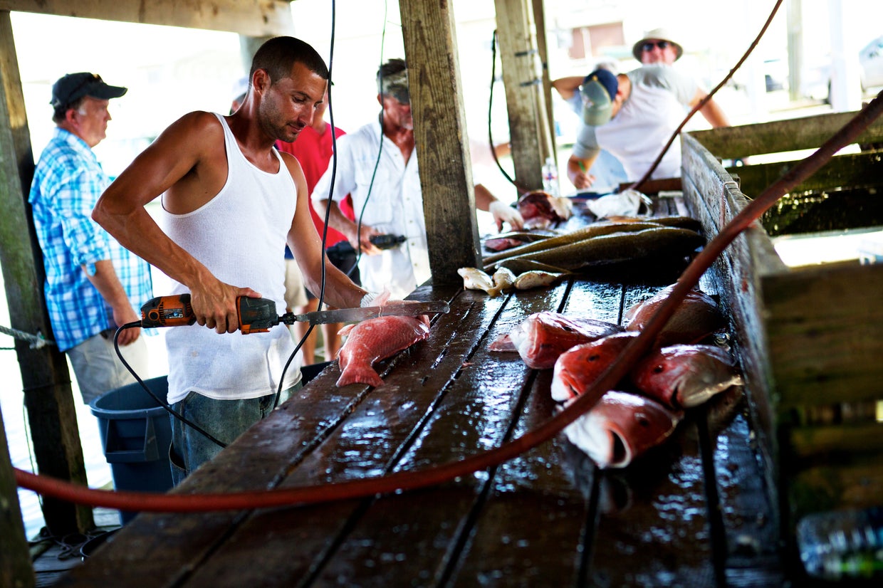 Ten years after Hurricane Katrina devastated southern Louisiana - signs ...