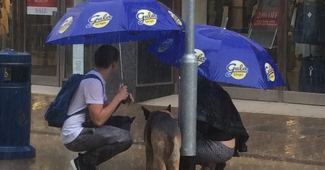 Caring couple shields stranger's dog left in pouring rain - CBS News