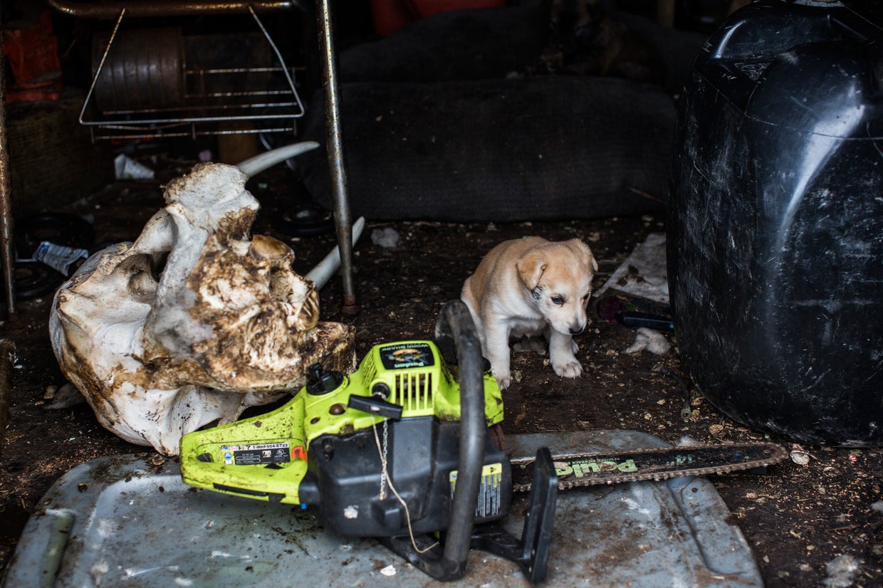 Stunning photos of climate change