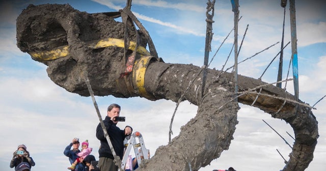 Woolly mammoth unearthed in Michigan - CBS News