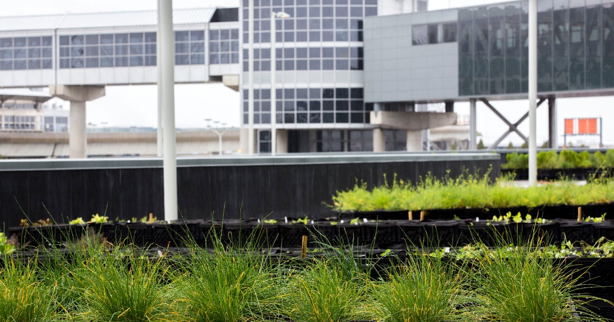 Farm-to-tray table: JetBlue opens airport "farm" - CBS News
