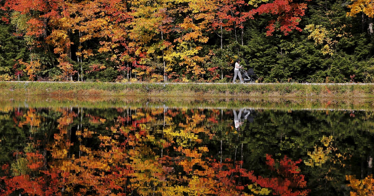 Climate change could split fall foliage season in two - CBS News