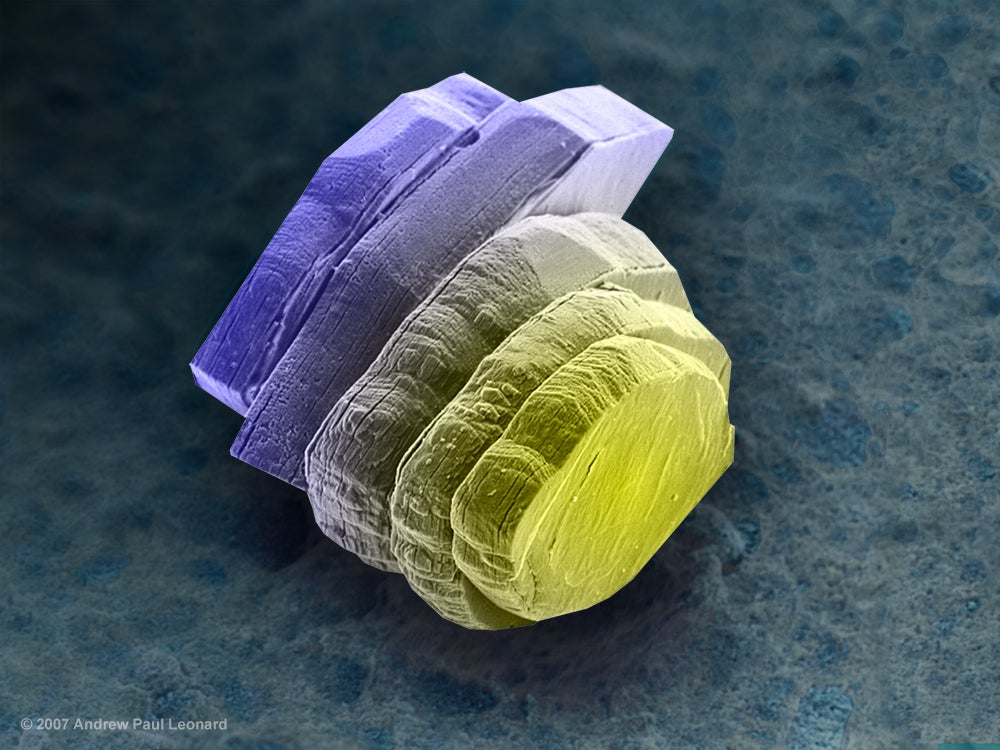 Nature's building blocks up close