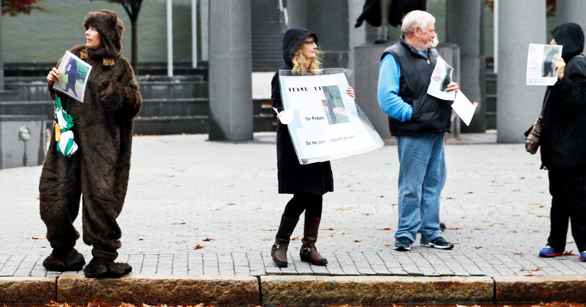 Beloved bipedal bear disappears in N.J. woods, receives activist ...