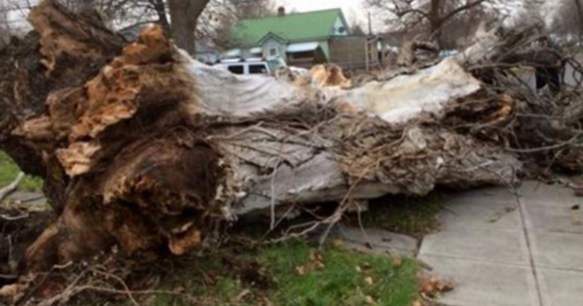 Deadly Northwest storm called "historic" - CBS News