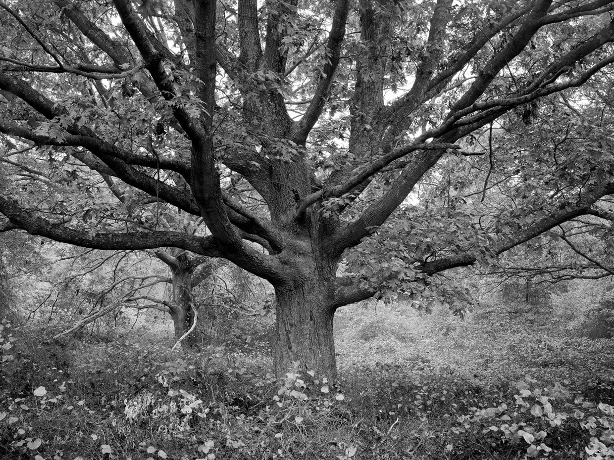 Landscape photos of Daniel Jones