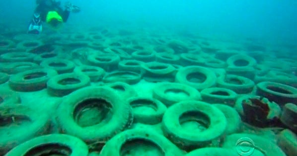 Divers work to clean up failed Florida reef project from the '70s - CBS ...