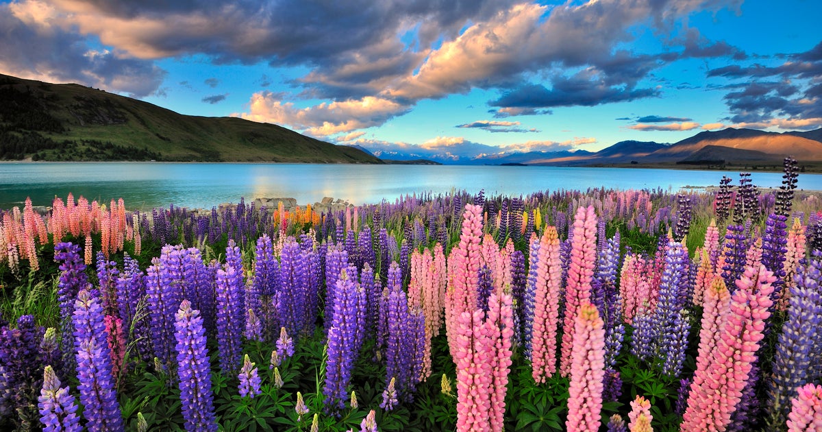 Top 20 most livable countries