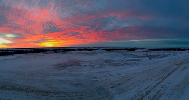 A gathering of polar bears