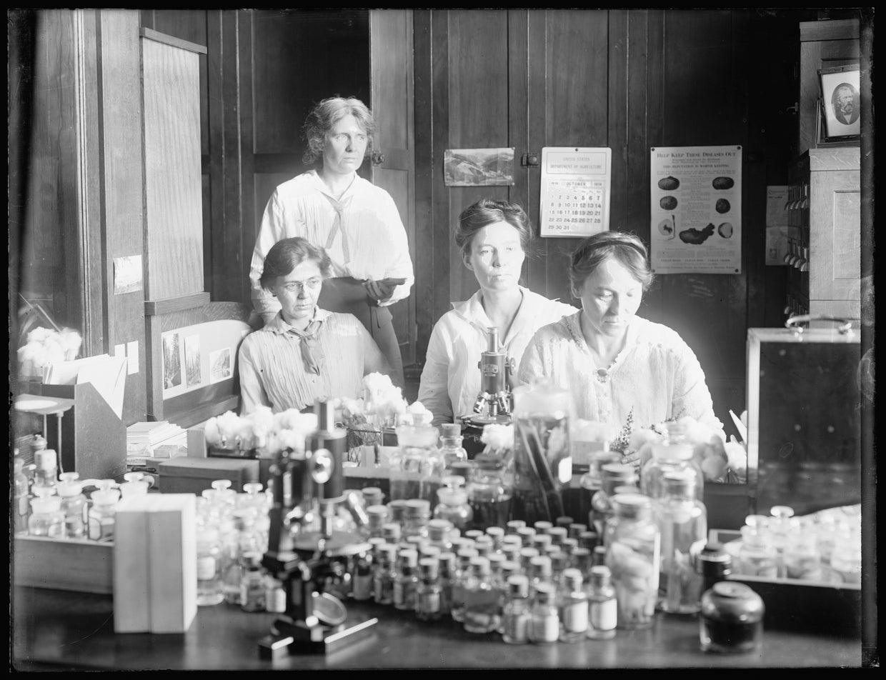Early 20th century women in the workplace
