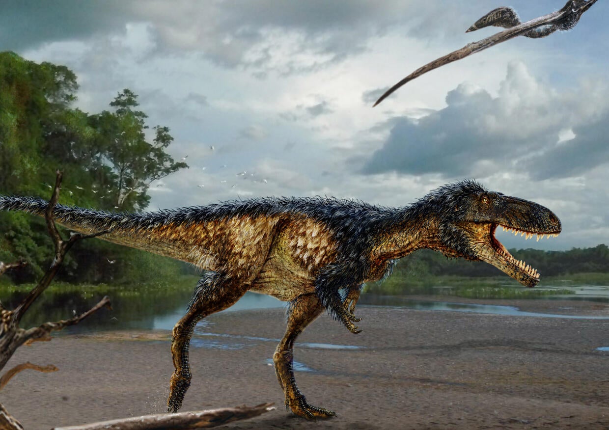 Dinosaur fossils shed light on how T. rex became T. rex - CBS News