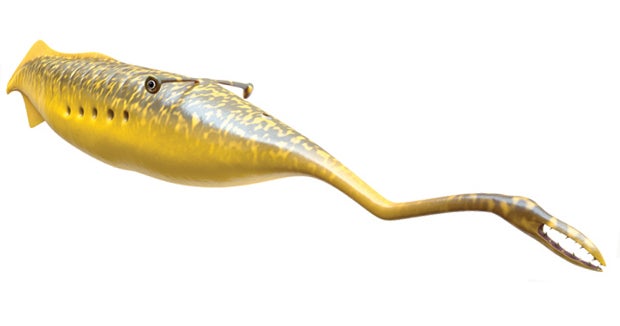 Scientists solve mystery of prehistoric "monster" - CBS News