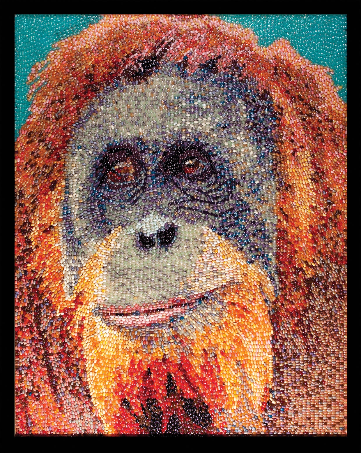 Art made with jelly beans