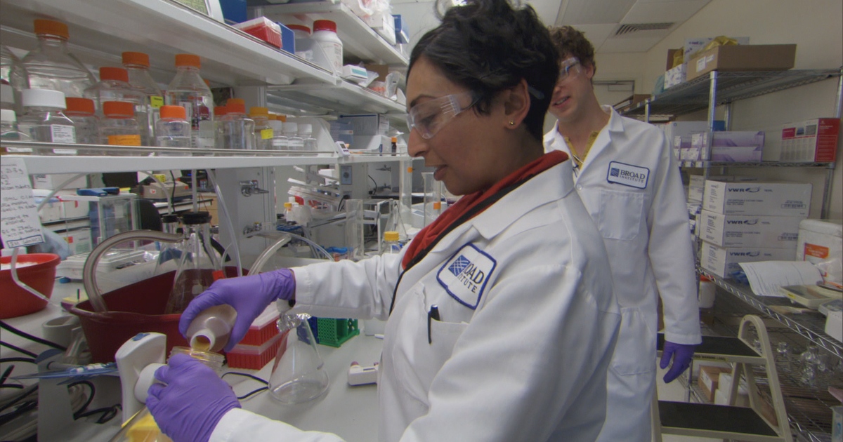 Newlyweds become medical researchers to find cure for wife's disease ...