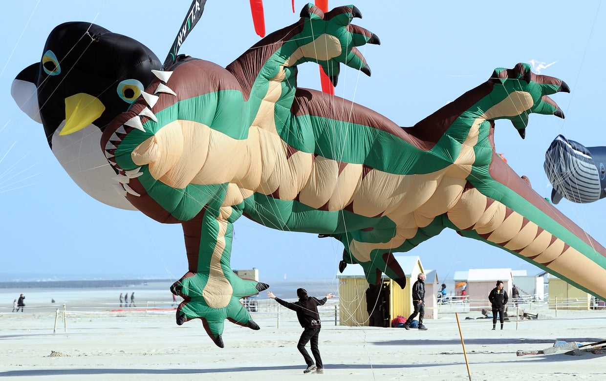 Giant kites soar at International Kite Festival