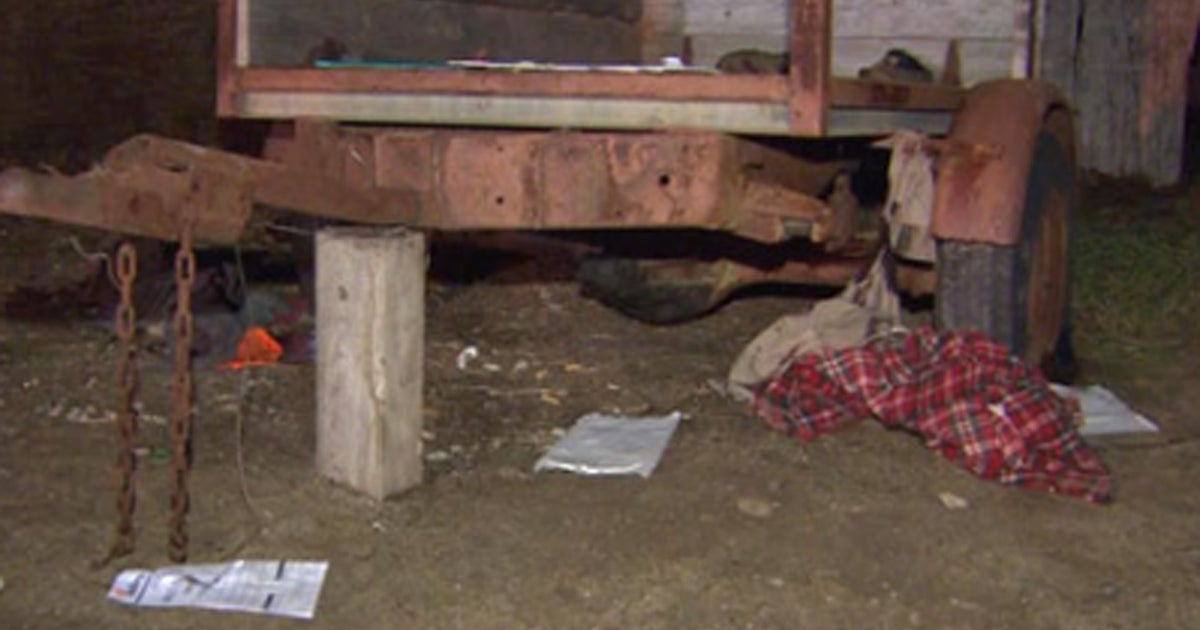 Pig attacks husband and wife on their Massachusetts farm - CBS News