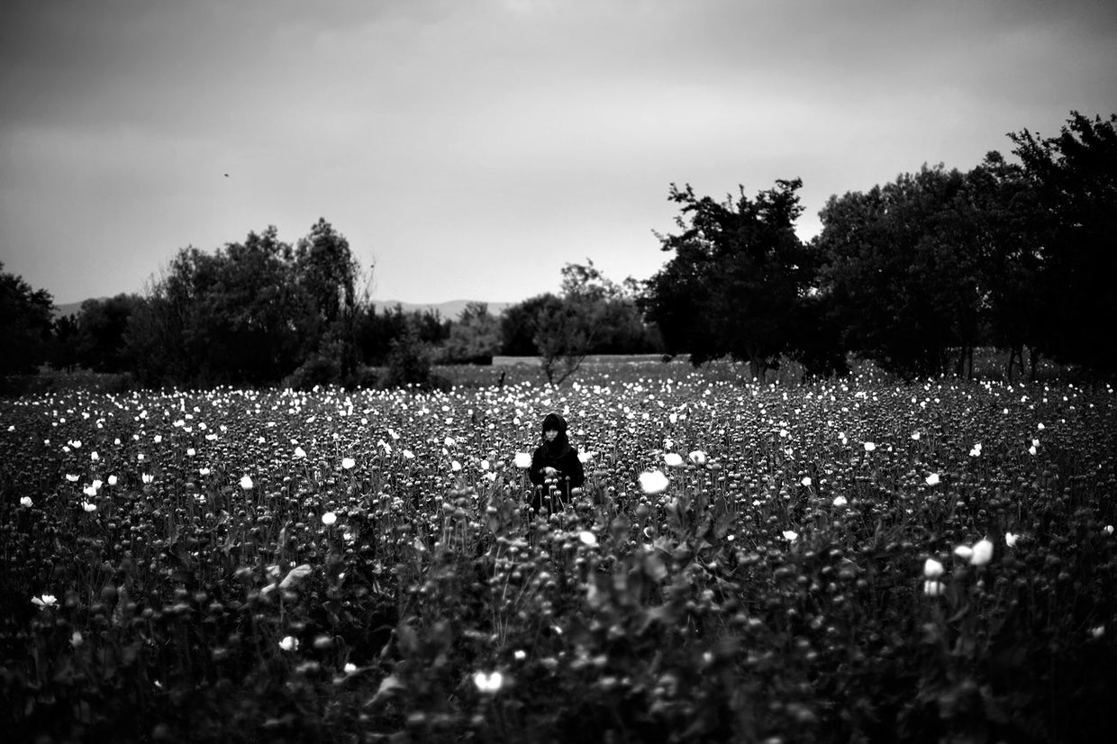 The compelling images of NPR photojournalist David Gilkey killed in ...