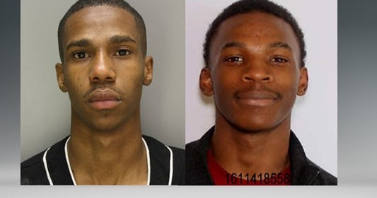 Fireworks thrown at dogs in live video, police in South Carolina say ...