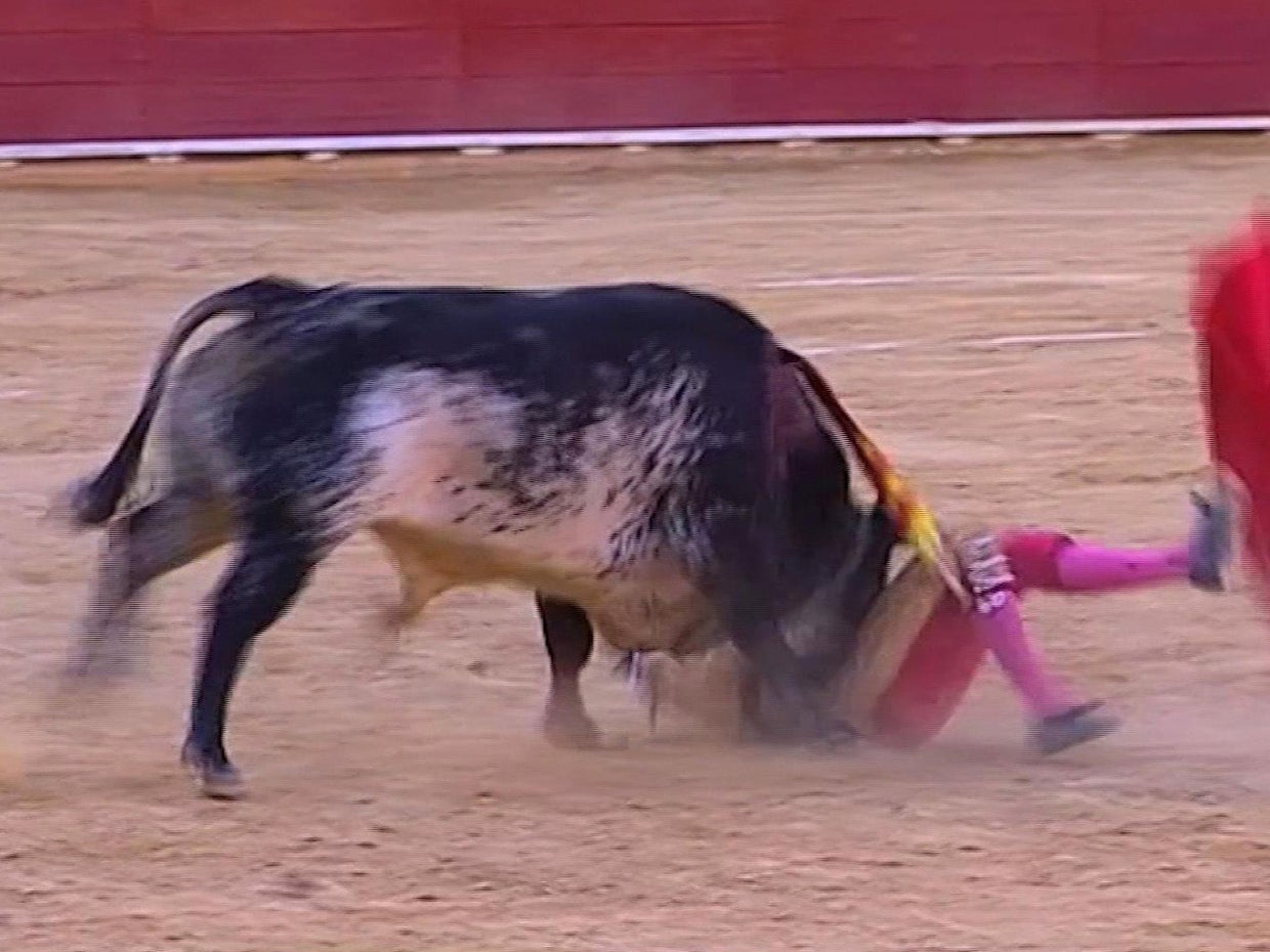 Bullfighter killed by bull during fight in Spain for the first time in ...