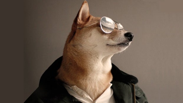 Meet Menswear Dog, the most fashionable dog on the internet - CBS News