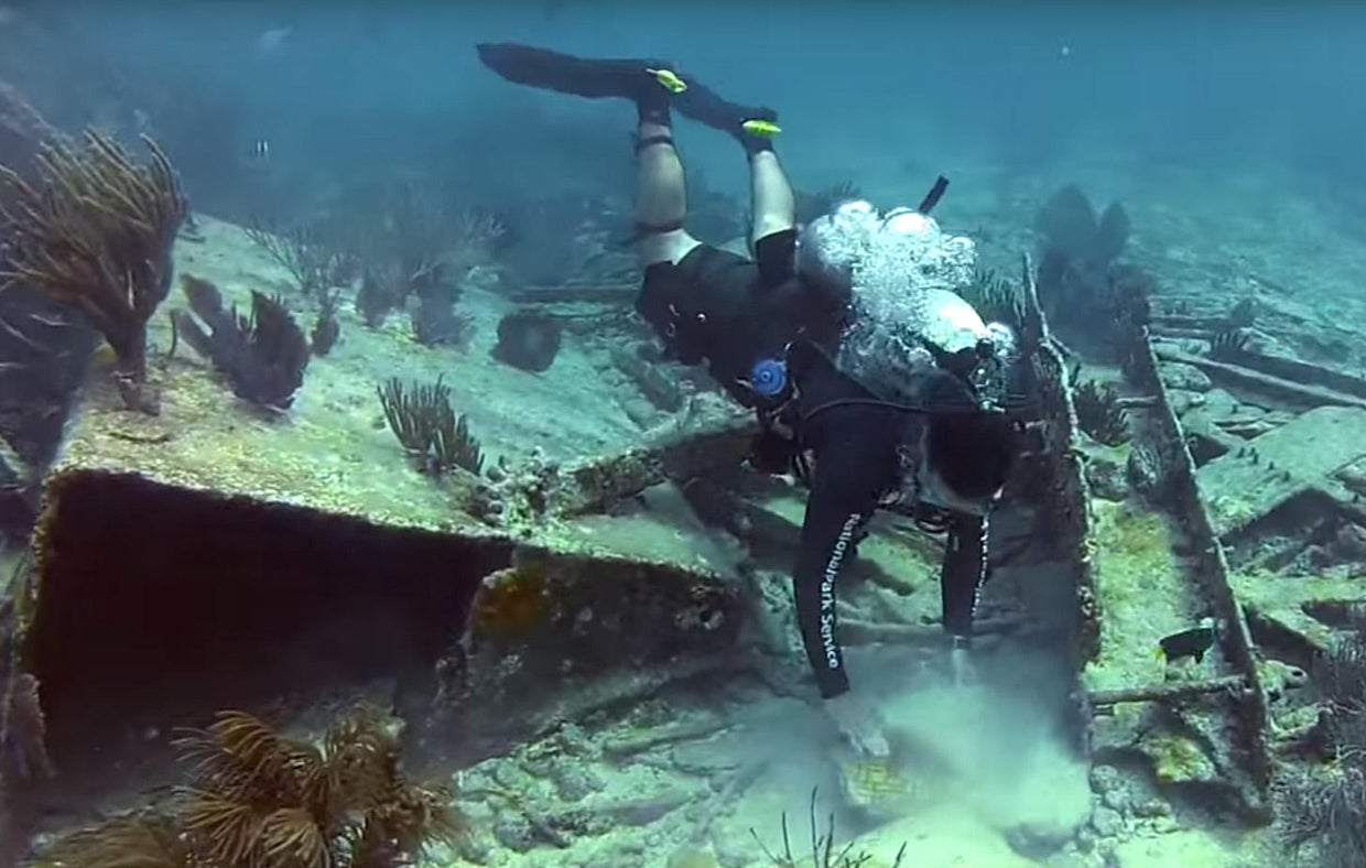 15 cool facts about America's national parks