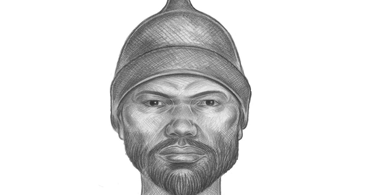 Karina Vetrano jogger murder: Sketch released of man who may have info ...