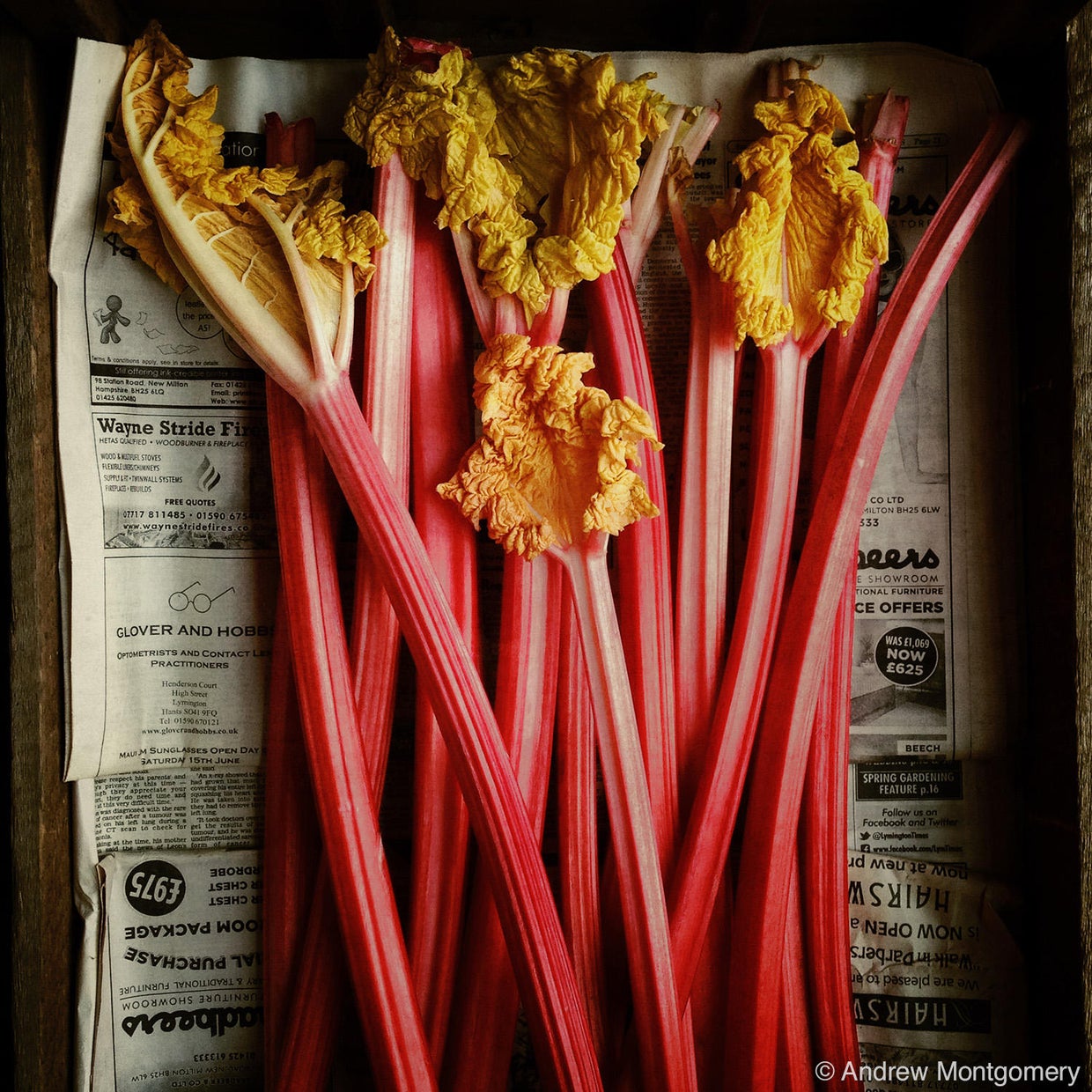 2016 iPhone Photography Awards